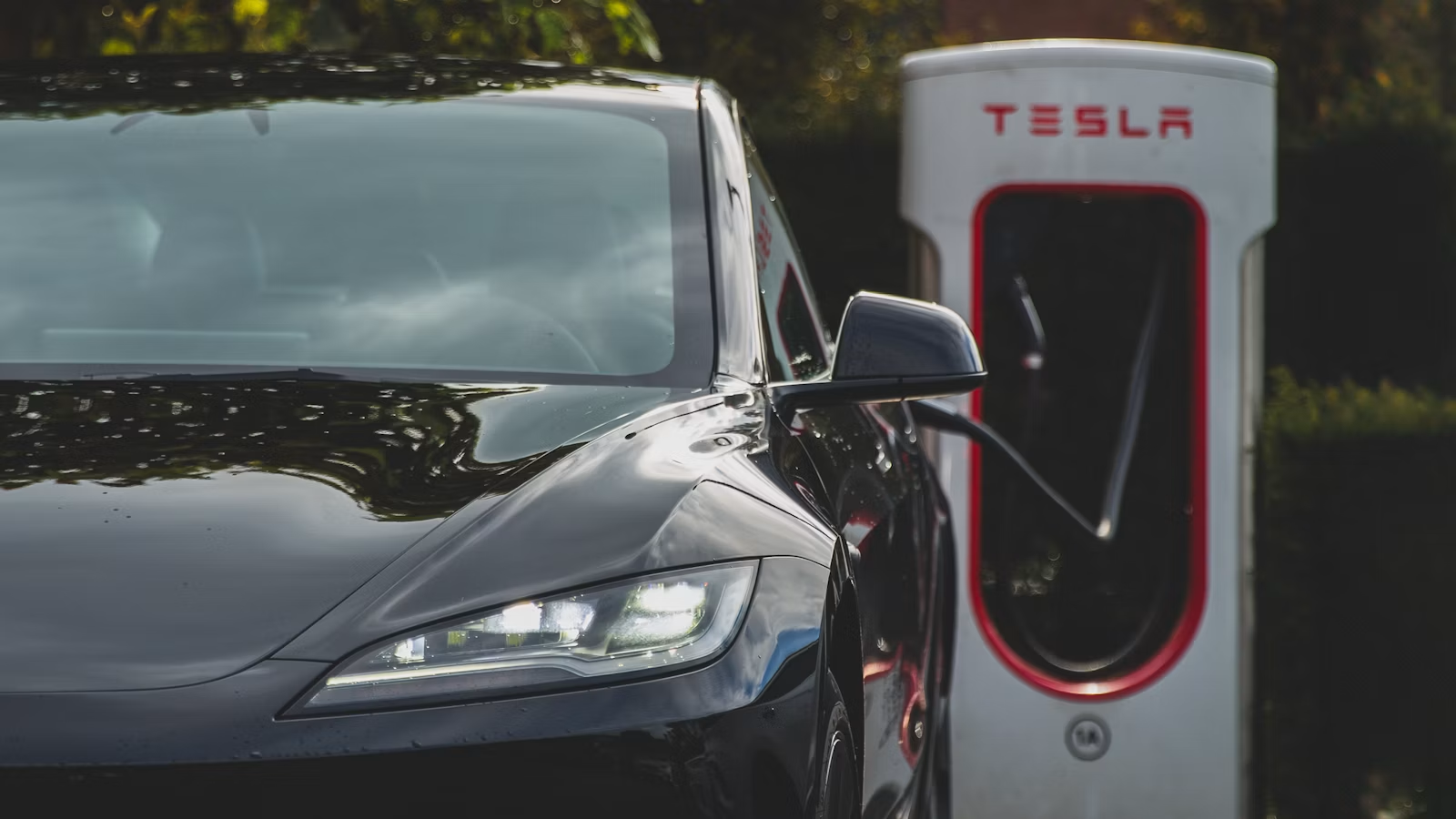 Will SpaceX’s IPO Affect Tesla? How to Understand Market Linkages ...